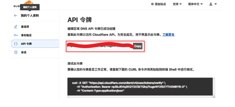 Windows下ddns Go配置ddns,通过cloudflare Api修改指定域名对应的动态ip 水东柳